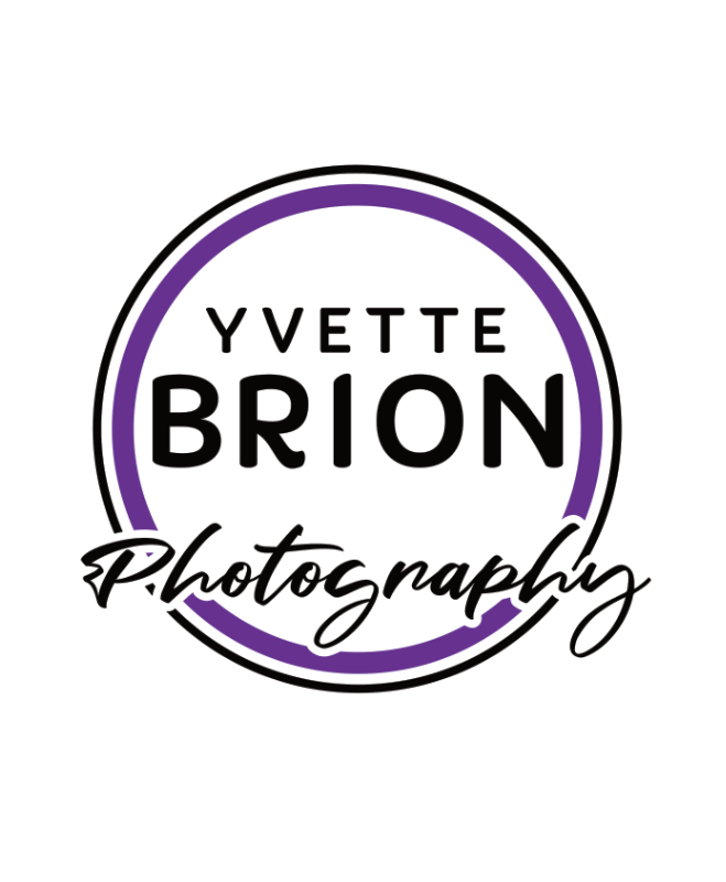 Logo Design – Kristi Branch Art & Design